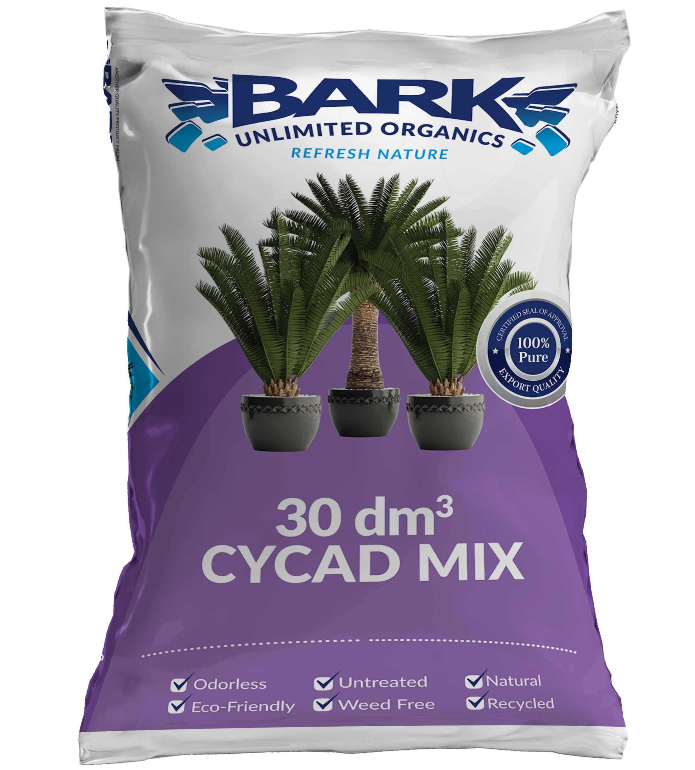 Cycad Mix – Lots of Pots Lynnwood
